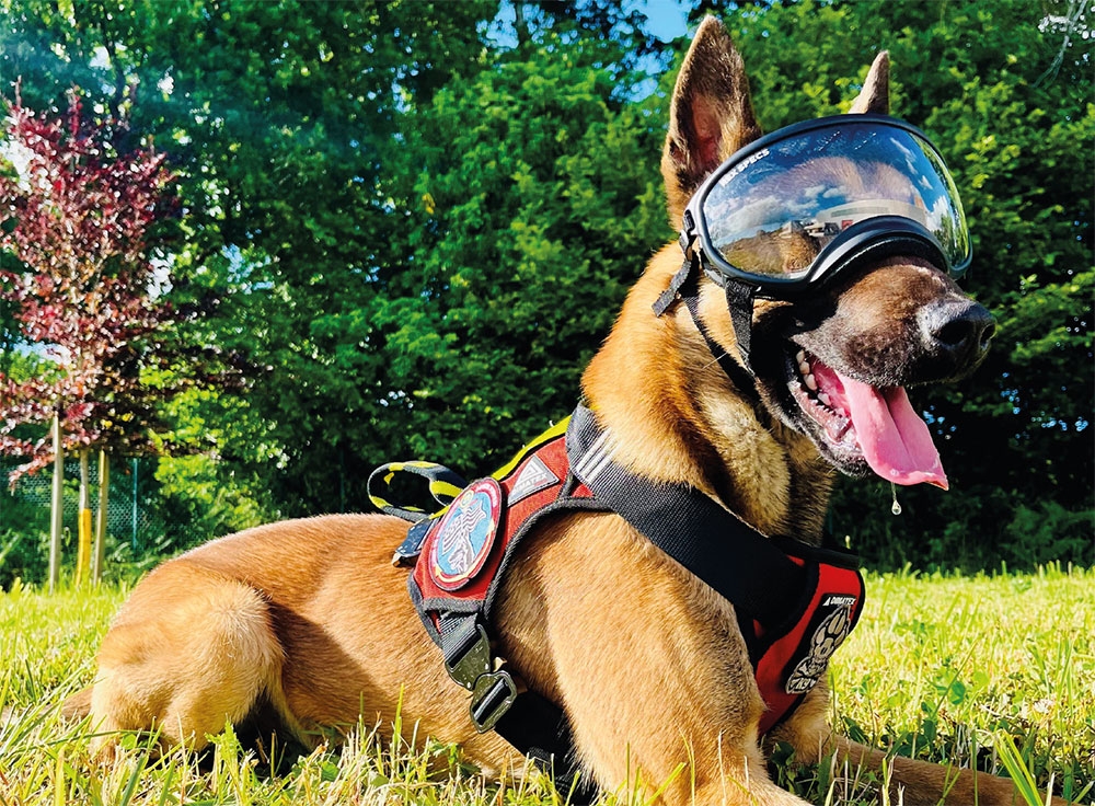 DIMATEX - SITE OFFICIEL - Accueil